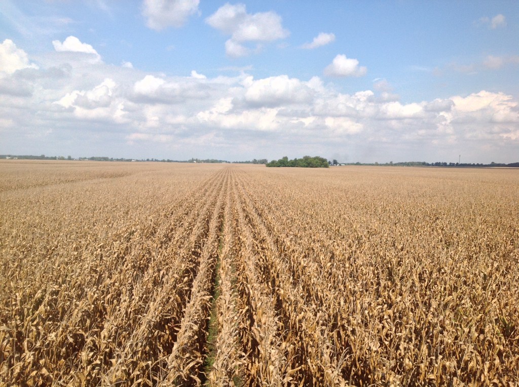 Farm Week in Pictures 10/05/2013 - The Farmer's Life